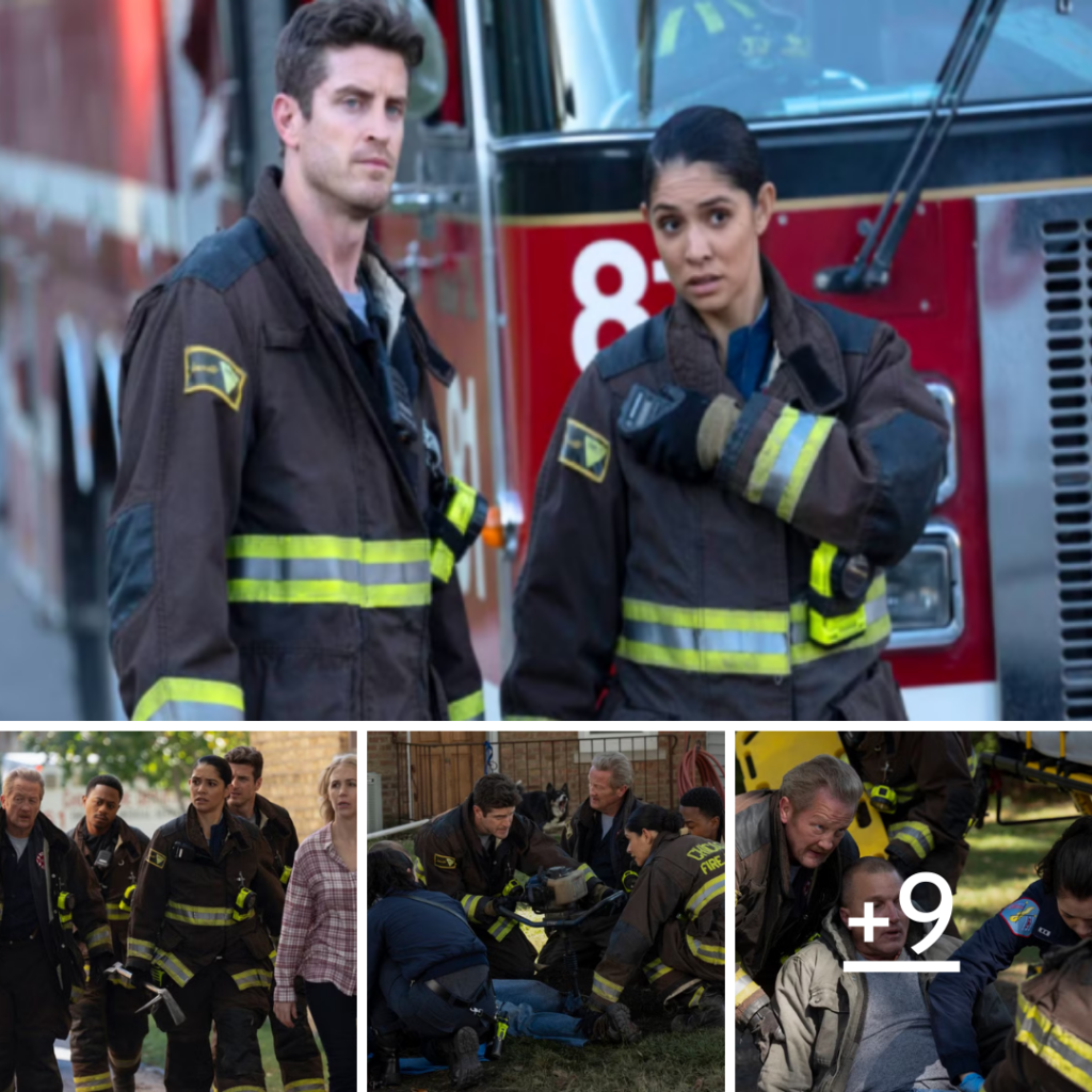 A Special Addition Joins ‘Chicago Fire’s Firehouse 51 in New Season 13 ...